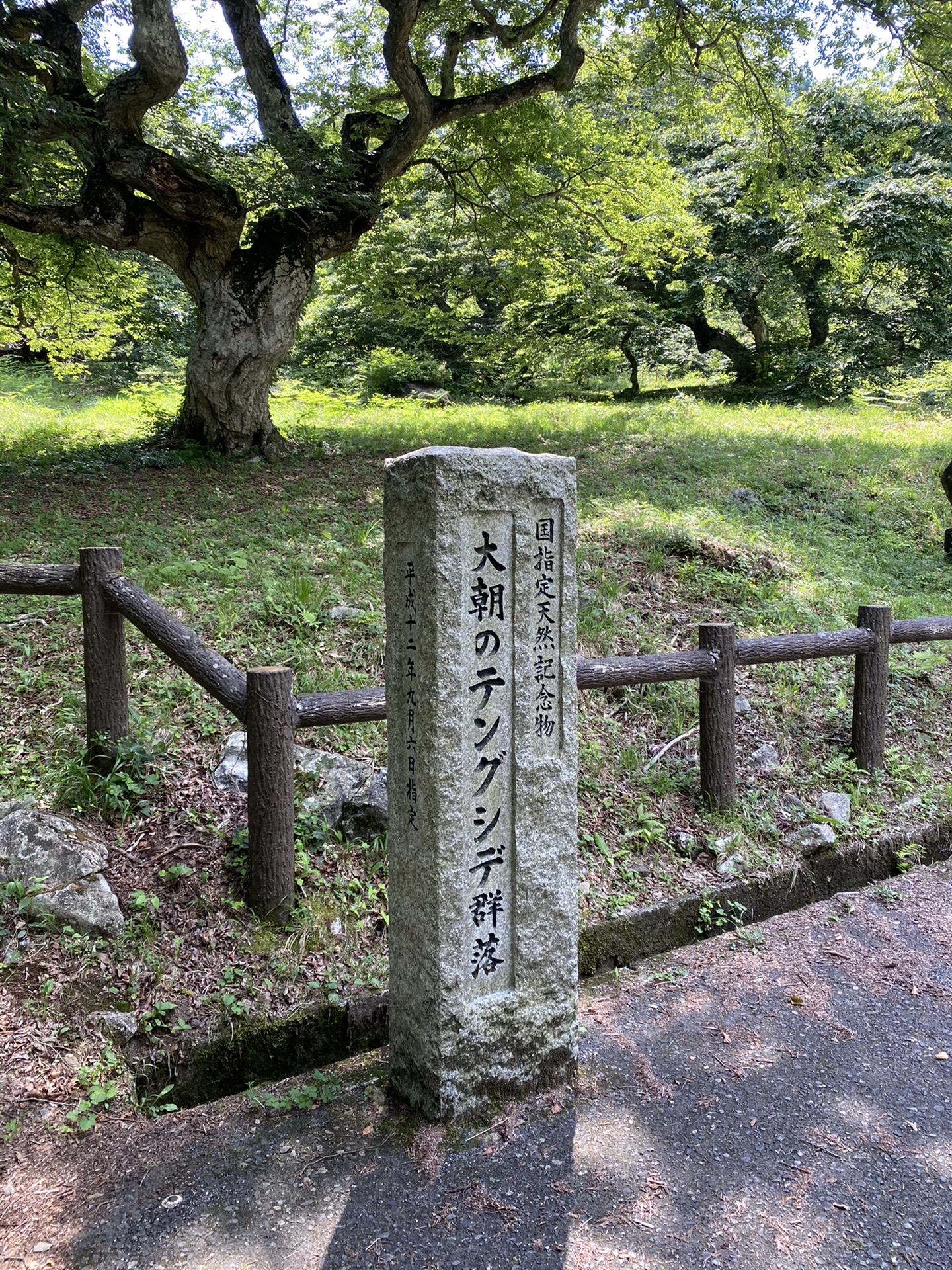 熊城山 / benchanさんの熊城山・丸掛山の活動データ | YAMAP / ヤマップ
