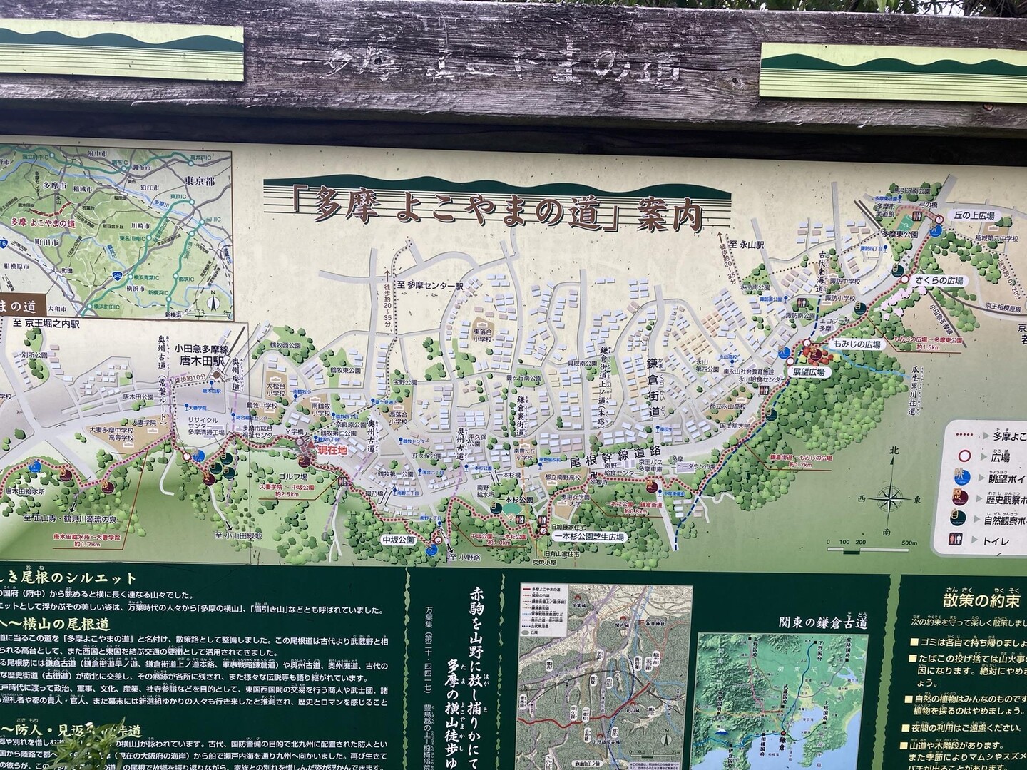 slow jogging #3 / 加桜里さんのランニングの活動データ | YAMAP / ヤマップ