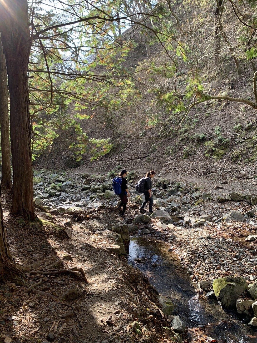 北極星に願いを込めて⭐️妙見山 / nyaomaskさんの能勢妙見山・歌垣山・天台山の活動データ | YAMAP / ヤマップ