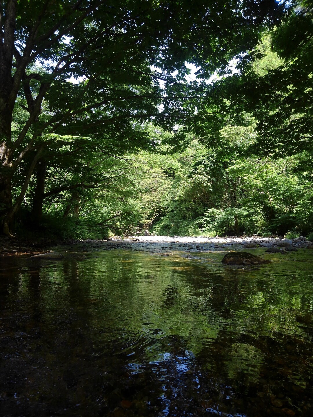 梅雨入り前に連れてってもらった持倉鉱山跡... / gk-cnさんのモーメント | YAMAP / ヤマップ