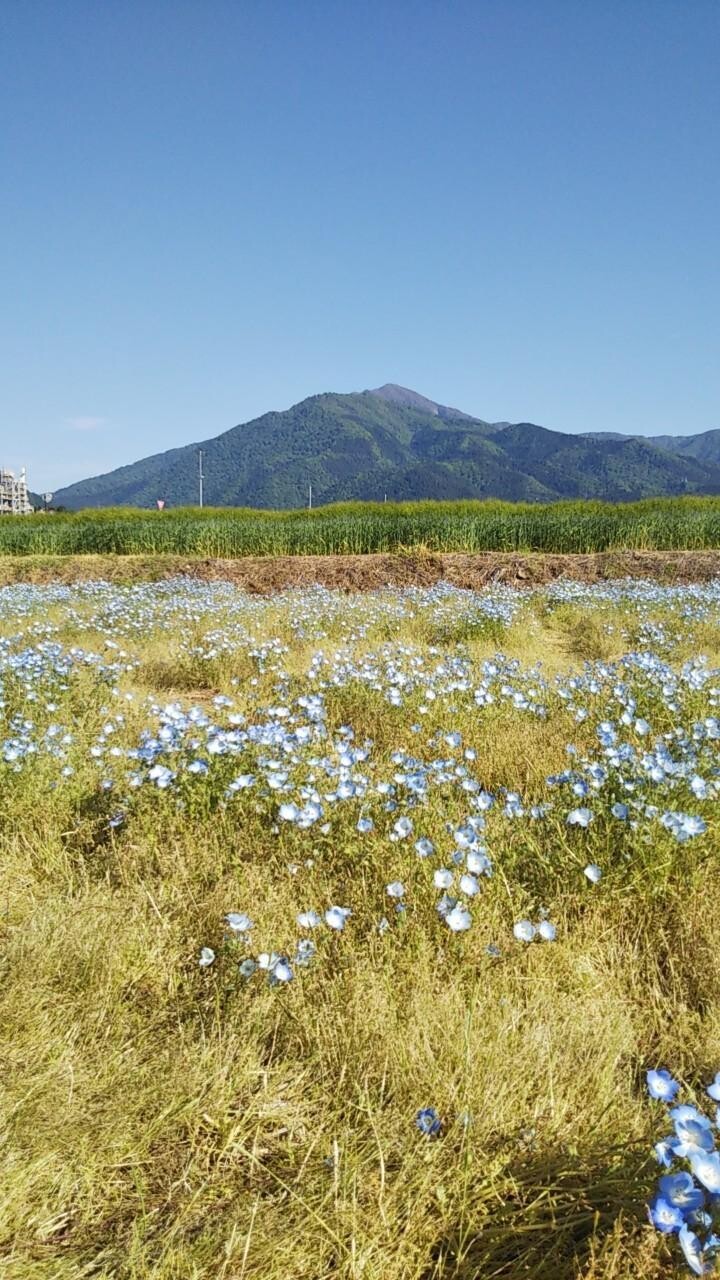 今日は、法事の為大野市へ！ 法事の後 最... / ふくちゃんさんのモーメント | YAMAP / ヤマップ