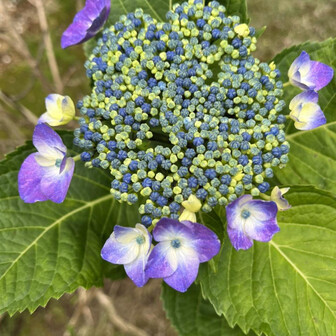 tom128のページ | YAMAP / ヤマップ