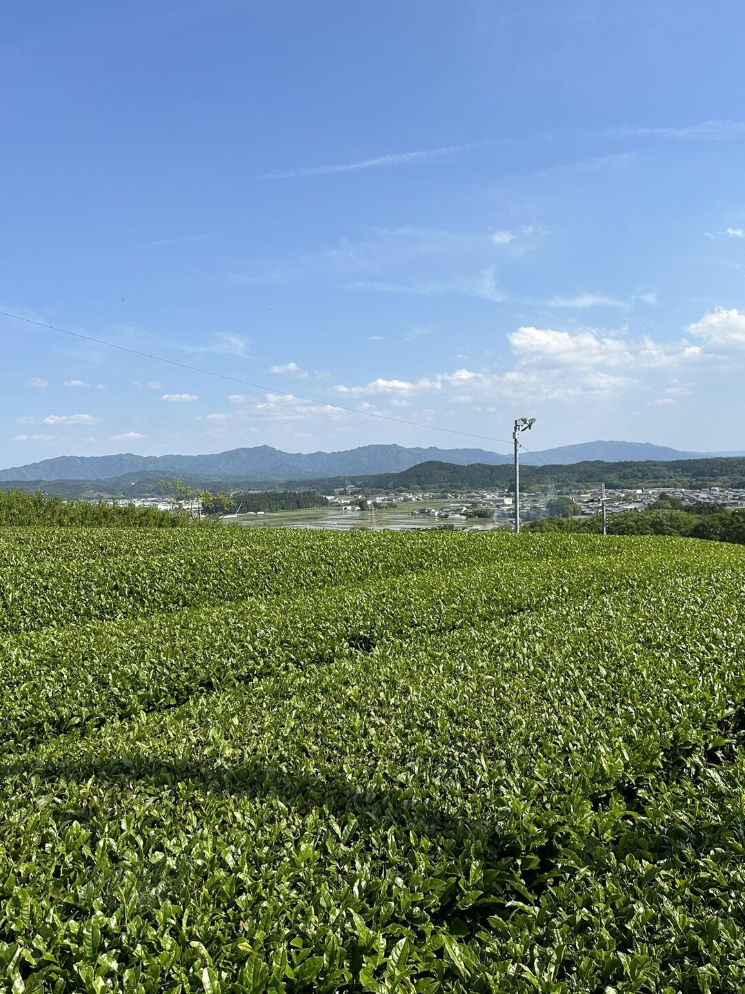 布引山 / mkさんの綿向山の活動データ | YAMAP / ヤマップ