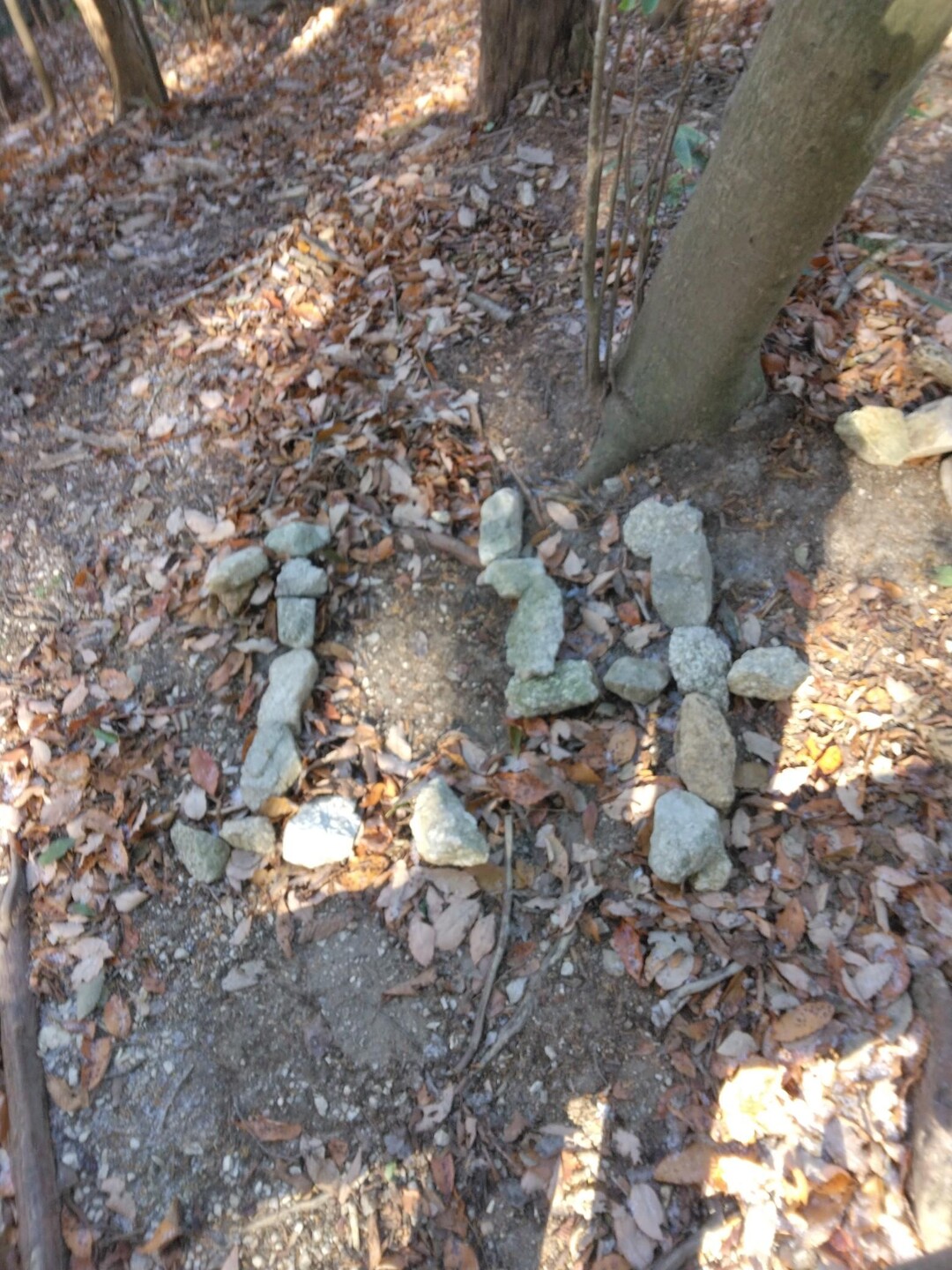 (4/300)猿投山1/50(今年初は雲興寺から🚶🥾) / Kazz1950さんの猿投山・物見山の活動データ | YAMAP / ヤマップ