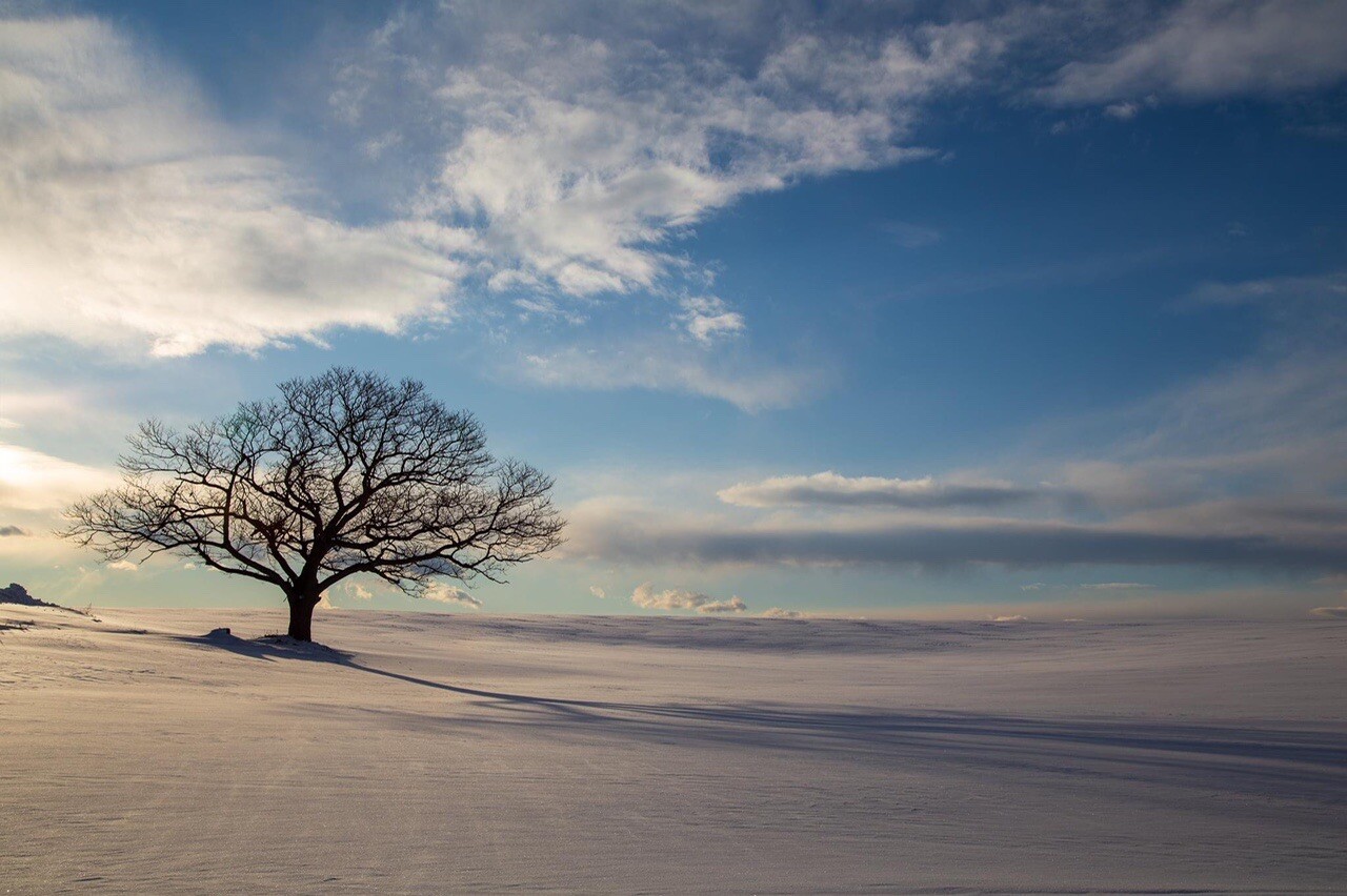 あけましておめでとうございます。 ここの... / sao_reeさんのモーメント | YAMAP / ヤマップ