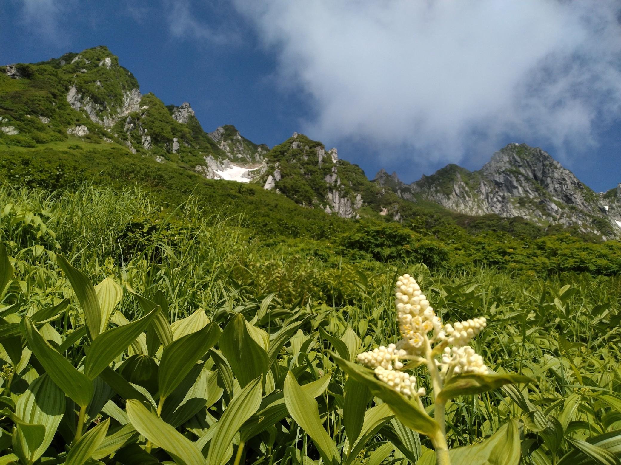🌸Mt.Kisokomagatake⚡️ / 🌸Springthunders⚡さんの木曽駒ヶ岳・空木岳・越百山の活動データ | YAMAP / ヤマップ