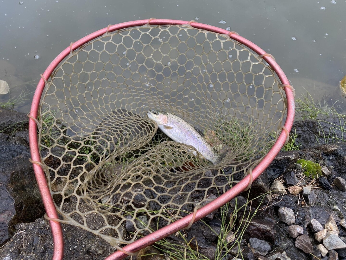 釣れました‼︎ 🎣ずっとやってみたかっ... / sanaviさんのモーメント | YAMAP / ヤマップ