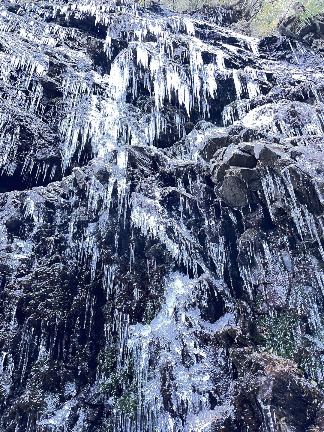 真富士山・富士見岳 / KM53さんの真富士山の活動データ | YAMAP / ヤマップ
