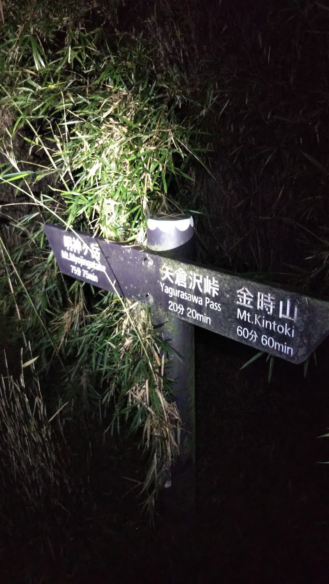 敏彦さんの投稿したフィールドメモ | YAMAP / ヤマップ