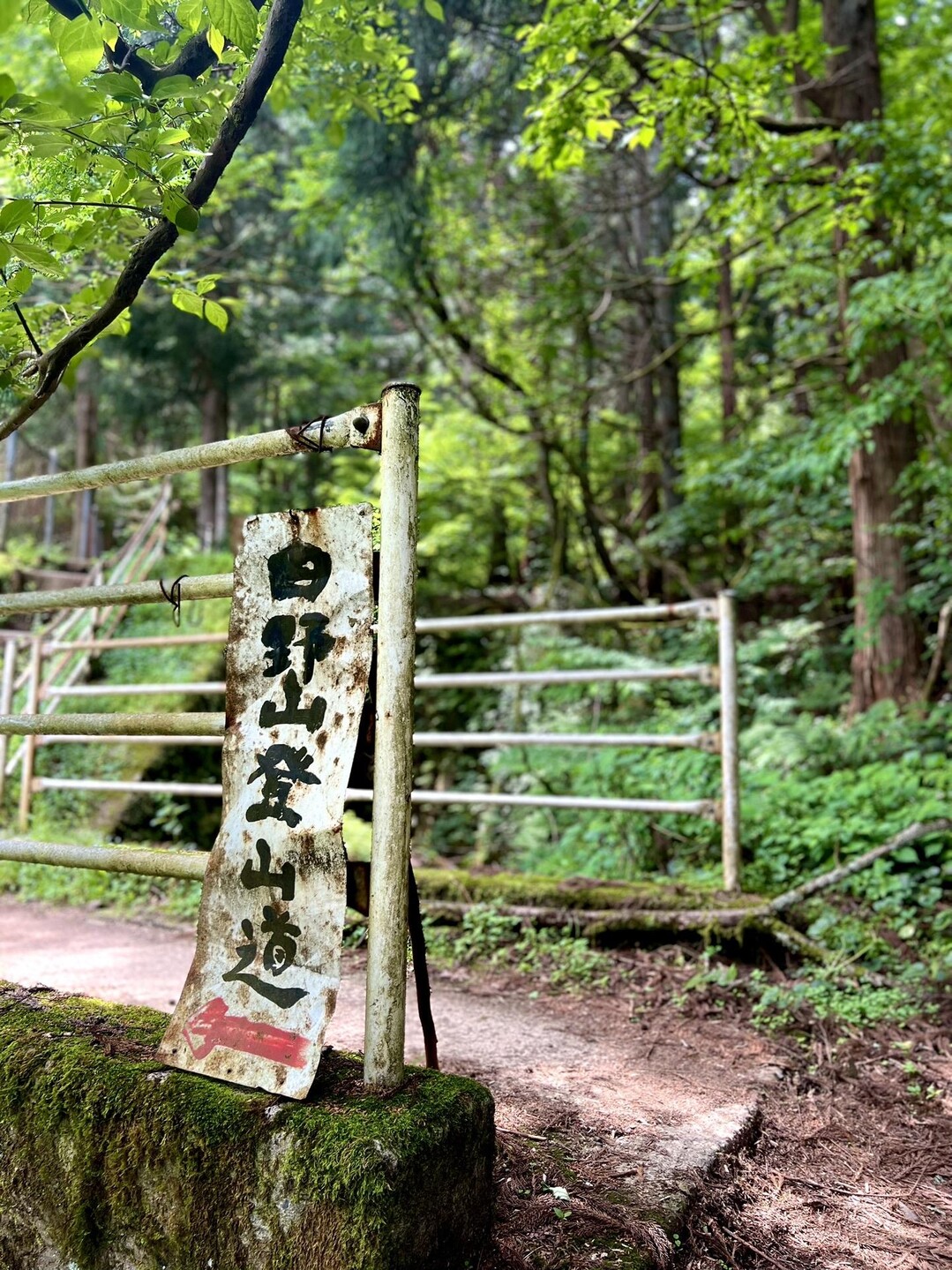 Greenだよ🌿『日野山』 / TADY.さんの日野山の活動データ | YAMAP / ヤマップ