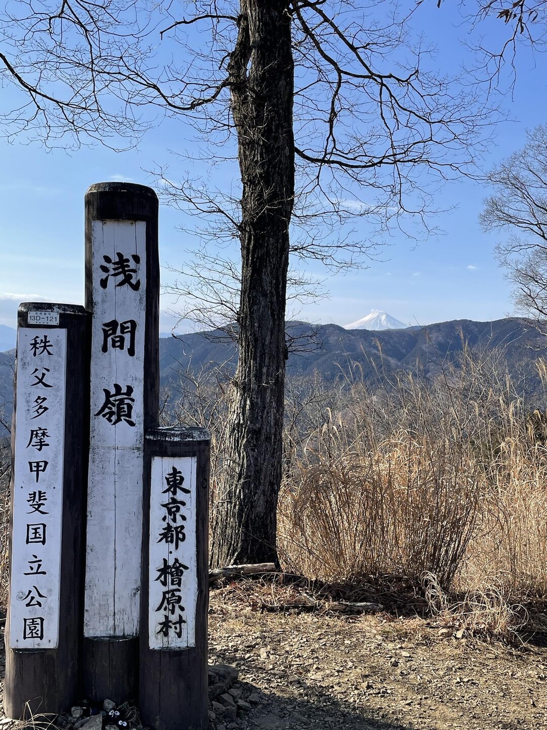 ゆったりハイク@浅間嶺 / DKさんの浅間嶺・松生山の活動データ | YAMAP / ヤマップ