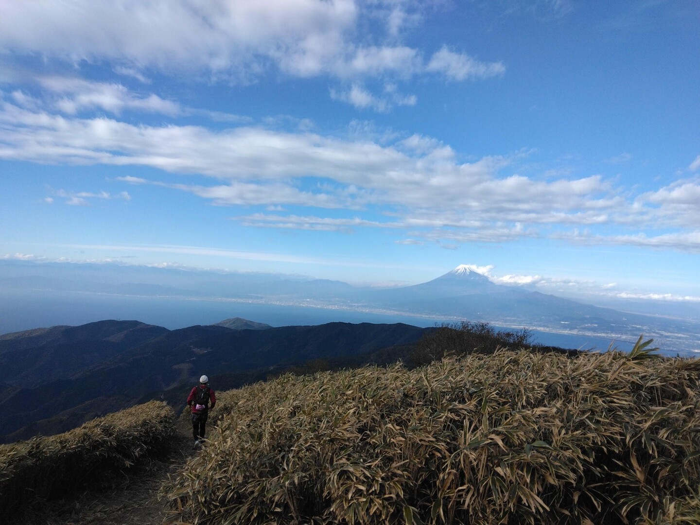 ITJ応援ラン>小達磨山・達磨山 / かえる🐸さんの金冠山・達磨山・葛城山の活動データ | YAMAP / ヤマップ