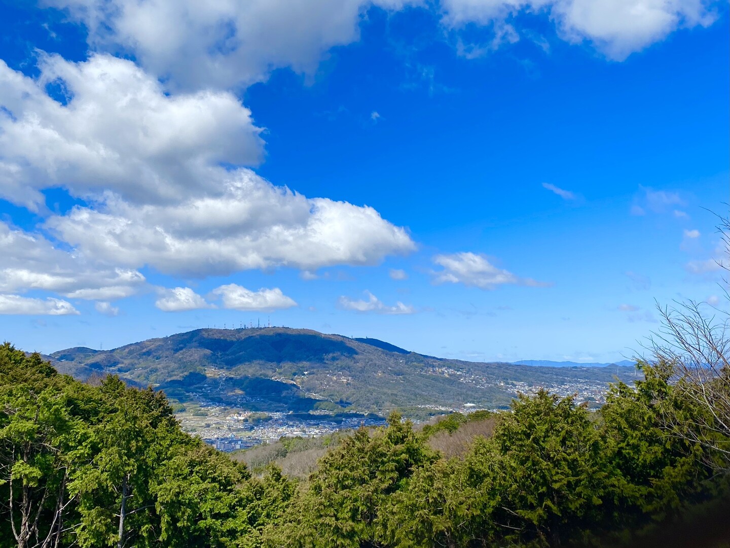 春の矢田丘陵🌳松尾山⛰矢田山⛰登山👟 / nataiさんの矢田丘陵・法隆寺の活動データ | YAMAP / ヤマップ