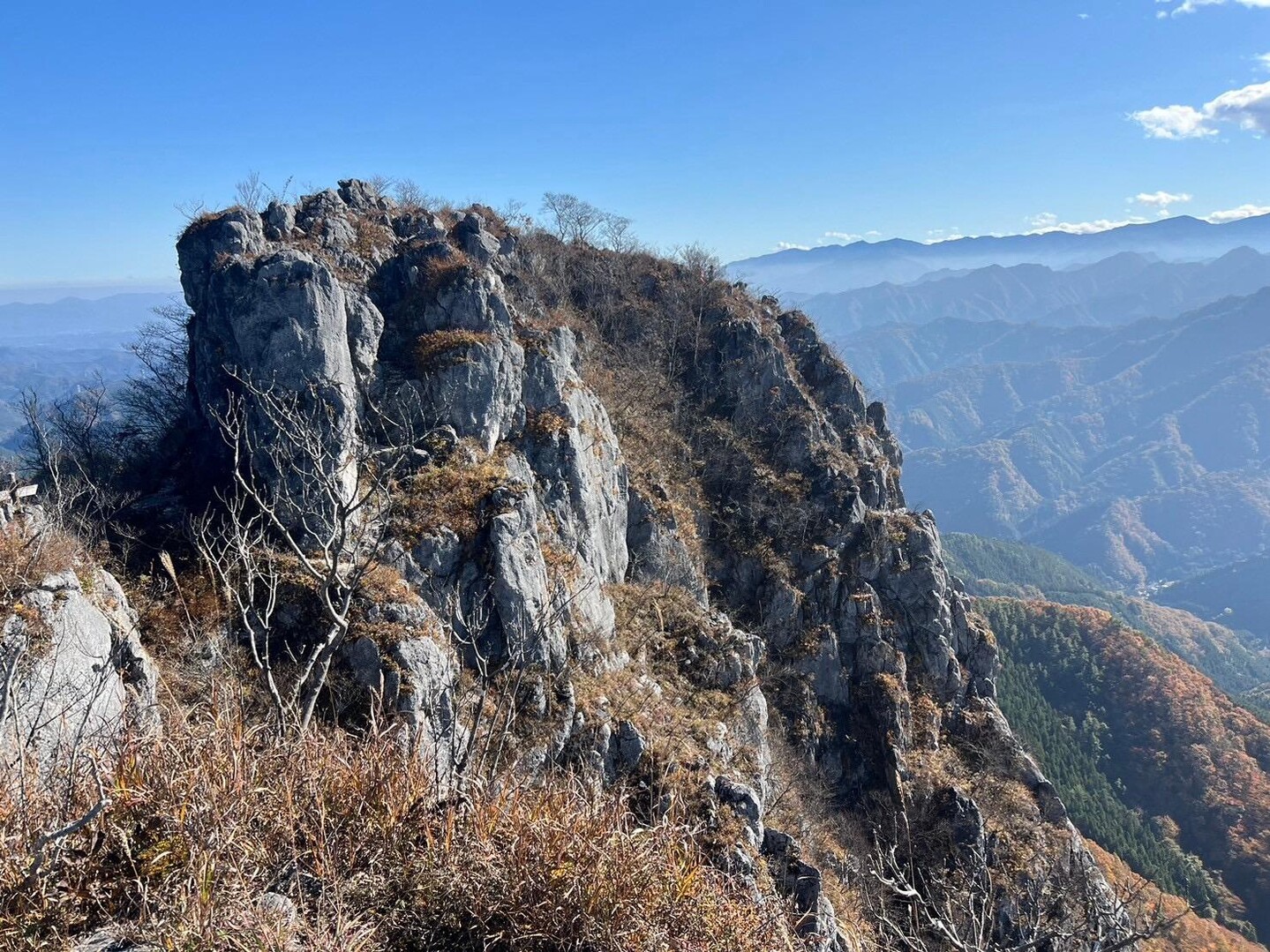 二子山中央稜 / so!yo!さんの両神山・諏訪山・二子山の活動データ | YAMAP / ヤマップ