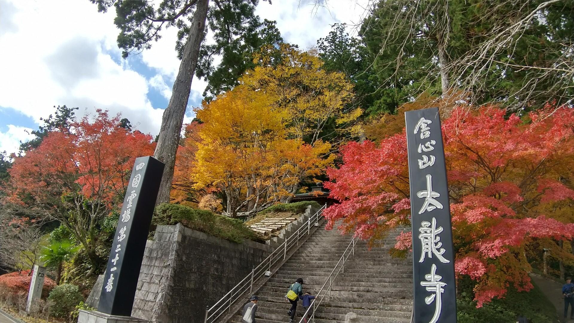 太竜岳・太竜寺山 / sumiさんの太竜寺山の活動データ | YAMAP / ヤマップ