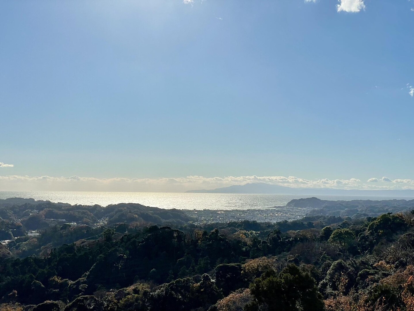鎌倉-天園-港南台往復 2022-12-18 / WKさんのハイキングの活動データ | YAMAP / ヤマップ