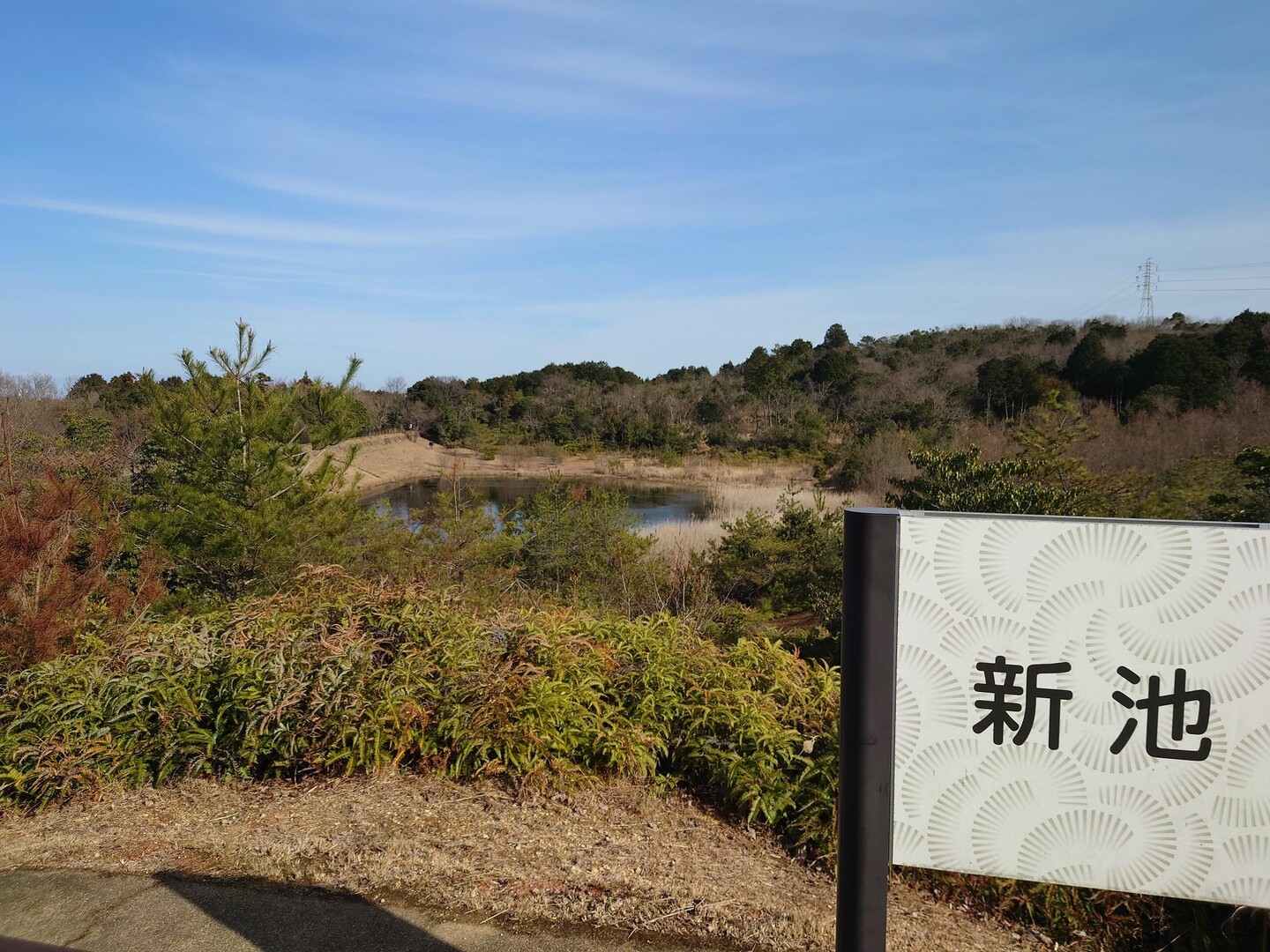 仕事のついでに大仏山公園とウィンドファー... / dewarsさんのモーメント | YAMAP / ヤマップ
