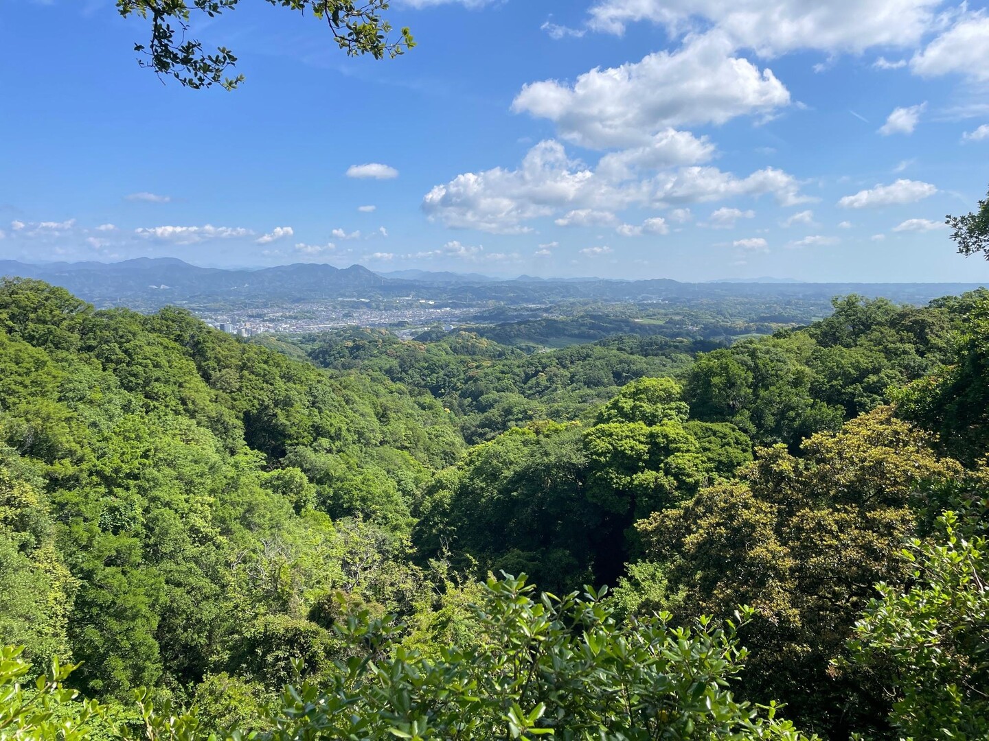 小笠山 / TKC90さんの小笠山の活動データ | YAMAP / ヤマップ