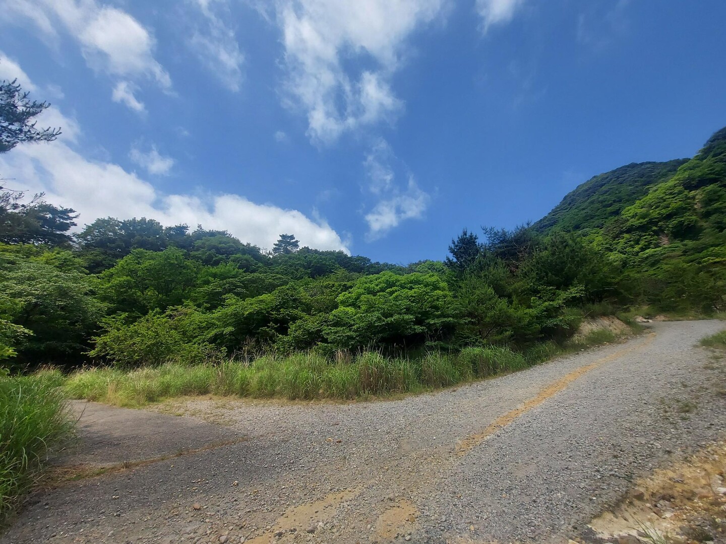 Jasperさんの投稿したフィールドメモ | YAMAP / ヤマップ