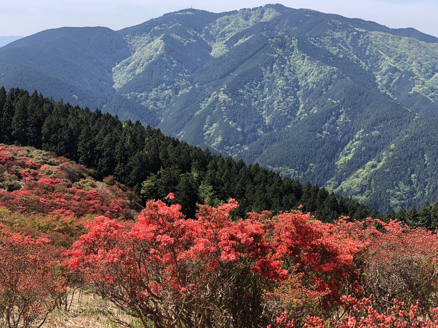 大和葛城山・奈良の大仏-2019-05-11 / TAROさんの金剛山・二上山・大和葛城山の活動データ | YAMAP / ヤマップ