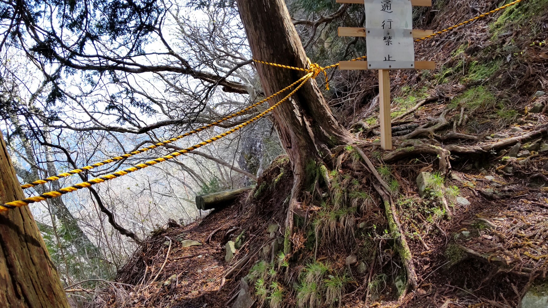 kazeさんの投稿したフィールドメモ | YAMAP / ヤマップ