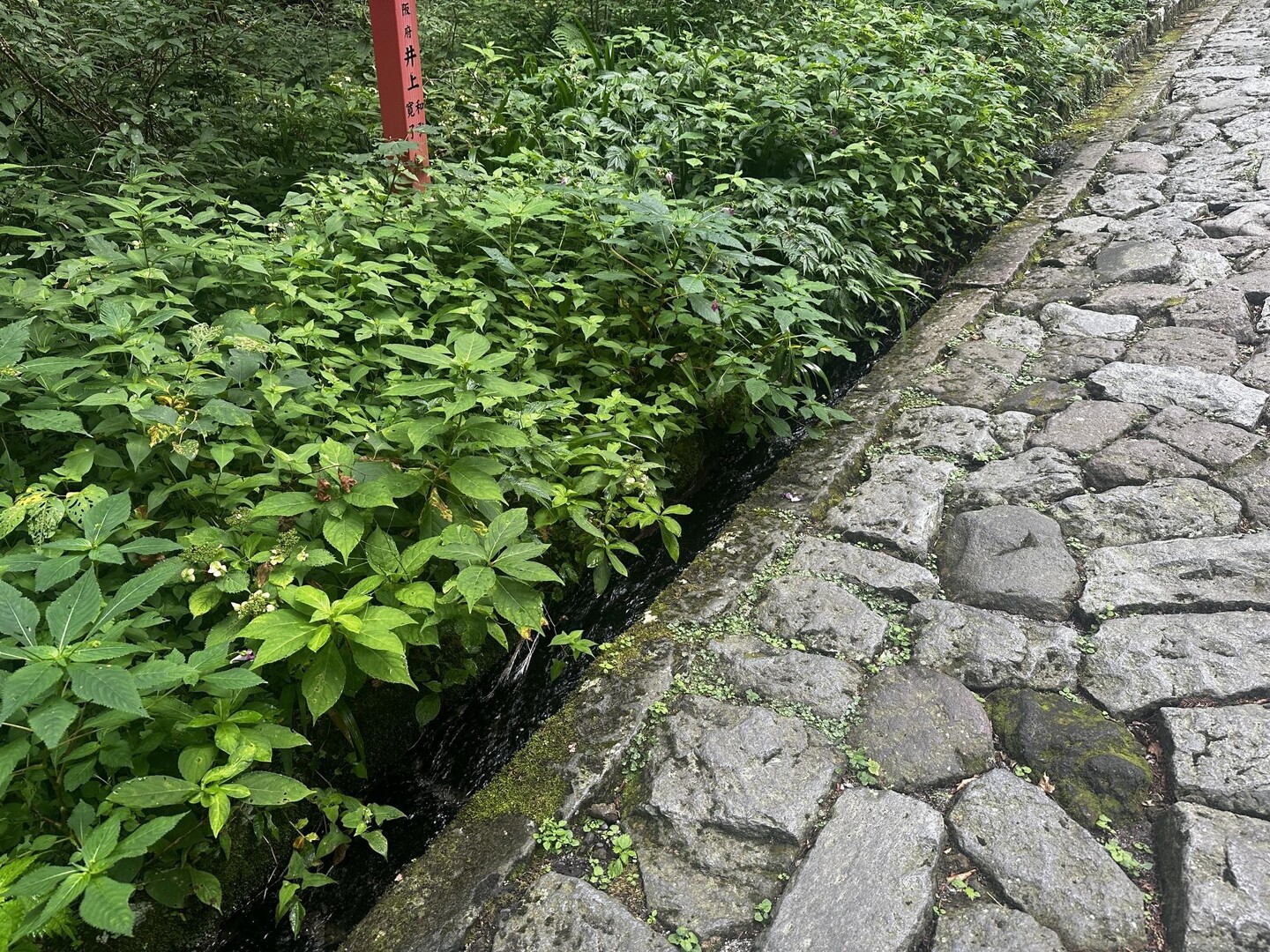 podoryさんの投稿したフィールドメモ | YAMAP / ヤマップ