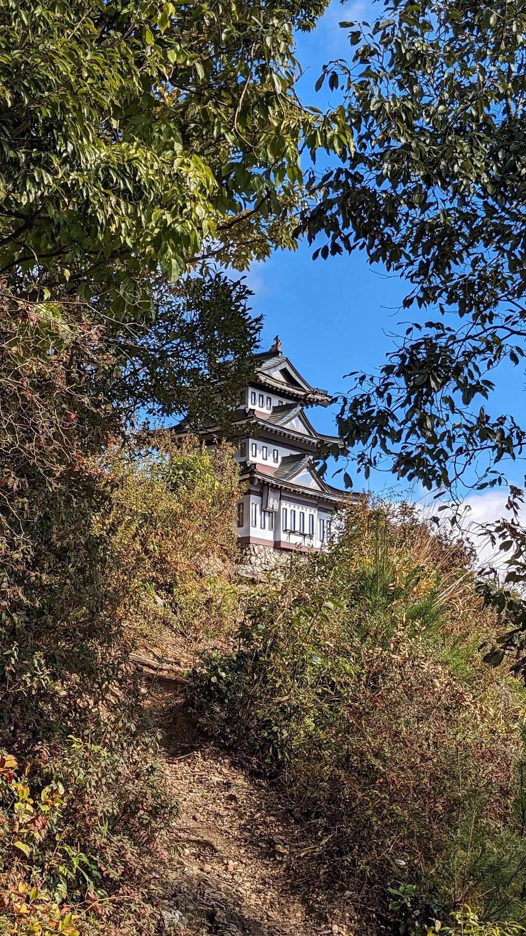 古城山 / MELさんの古城山の活動データ | YAMAP / ヤマップ