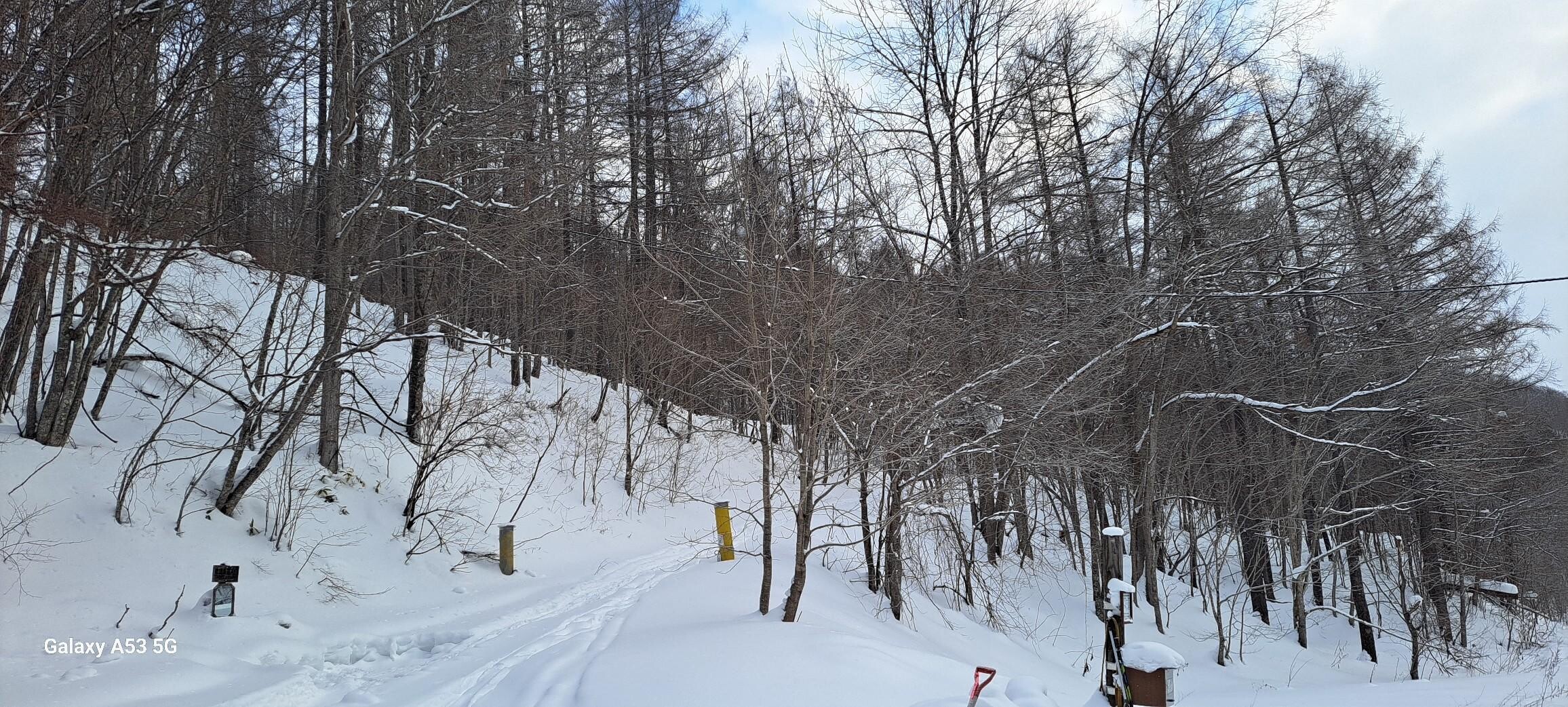 仁頃山 / mojyaさんの仁頃山の活動データ | YAMAP / ヤマップ