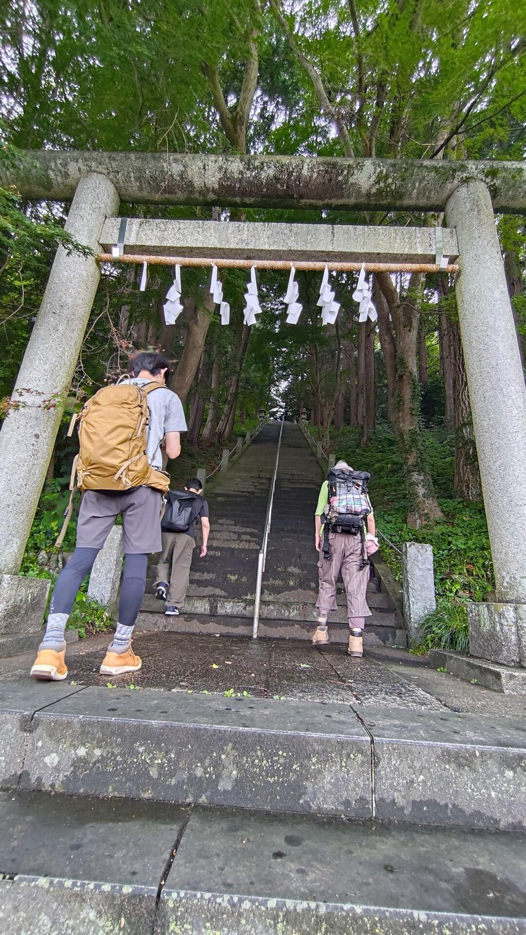 頂上のアレ、ゴンちゃんだよね？ / buruさんの赤ぼっこの活動データ | YAMAP / ヤマップ