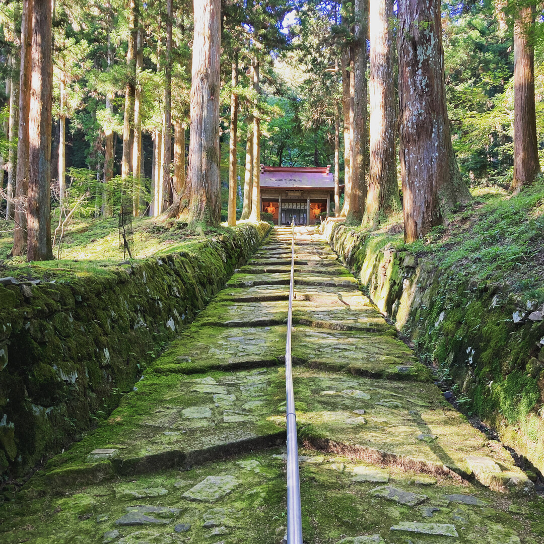 2022.05.07(土) 09:59 / broncoさんのモーメント | YAMAP / ヤマップ