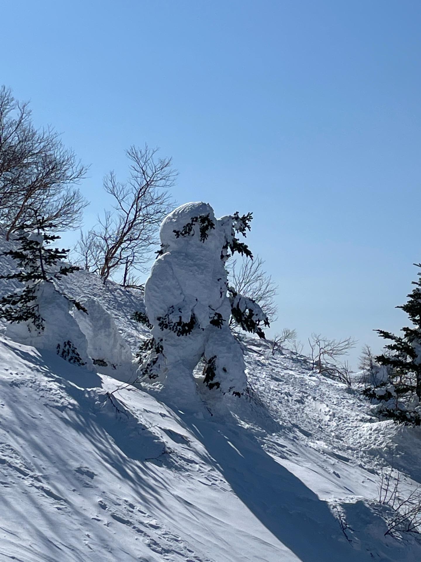 根子岳 / yoheyさんの四阿山・根子岳の活動日記 | YAMAP / ヤマップ