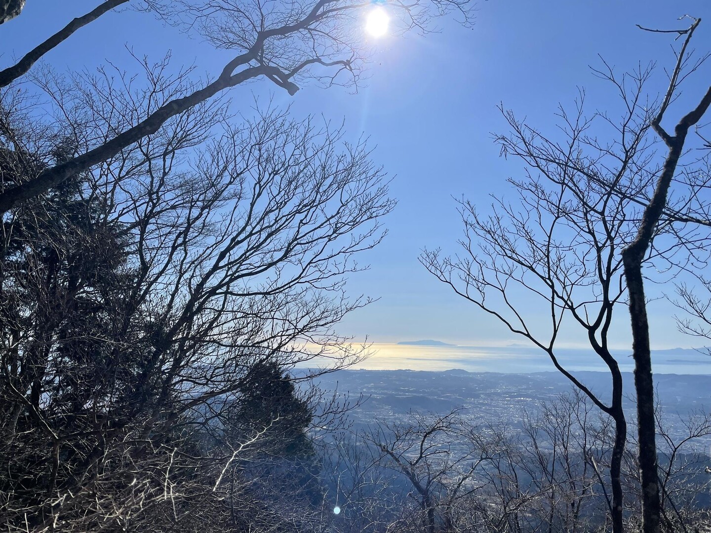 大山・阿夫利神社⛩️ / Vega-tanさんの大山の活動データ | YAMAP / ヤマップ