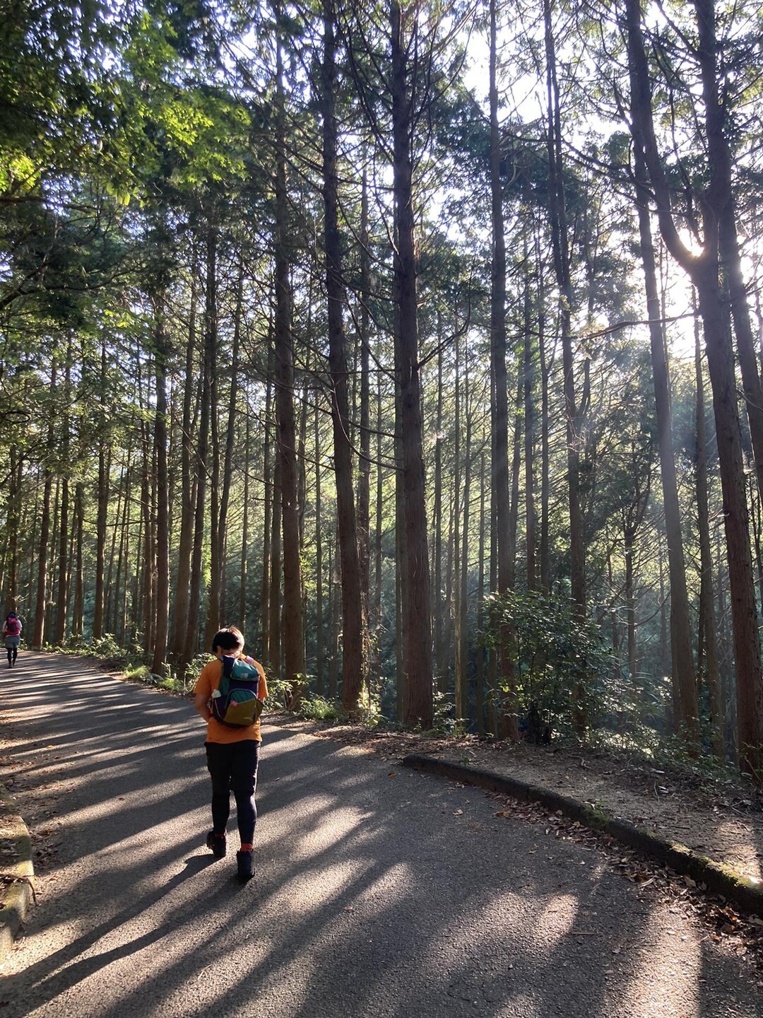宝満山⛰秋の山行🏃‍♂️💨 / ryu_ich1さんの宝満山・三郡山・若杉山の活動データ | YAMAP / ヤマップ