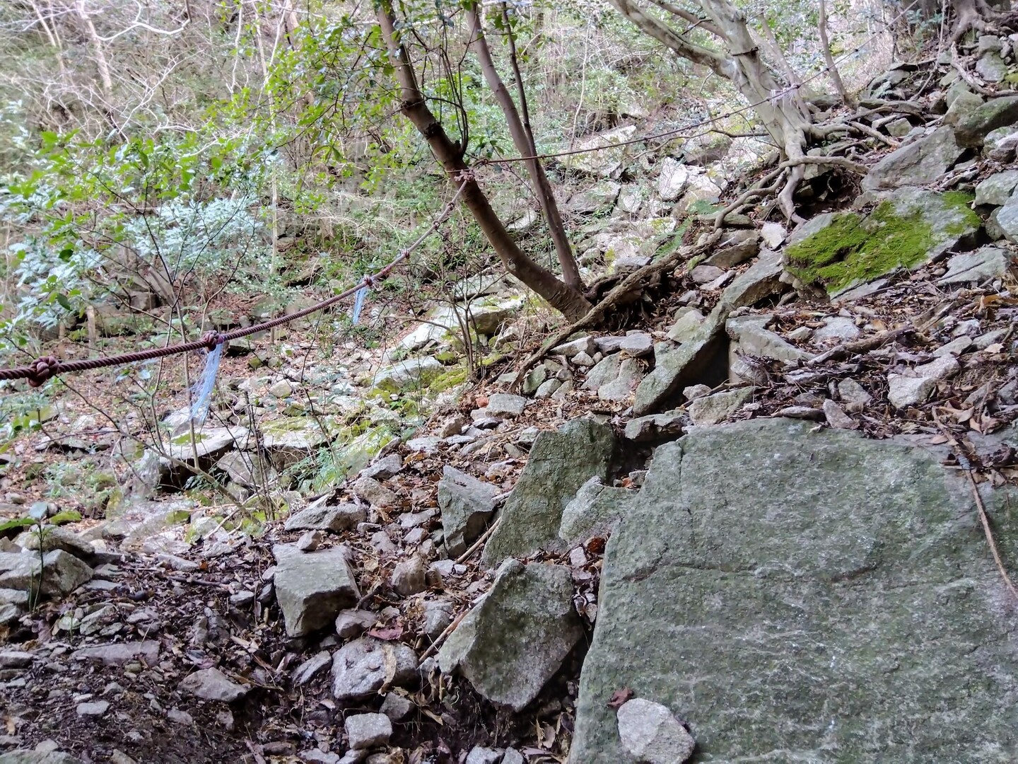 ryuさんの投稿したフィールドメモ | YAMAP / ヤマップ