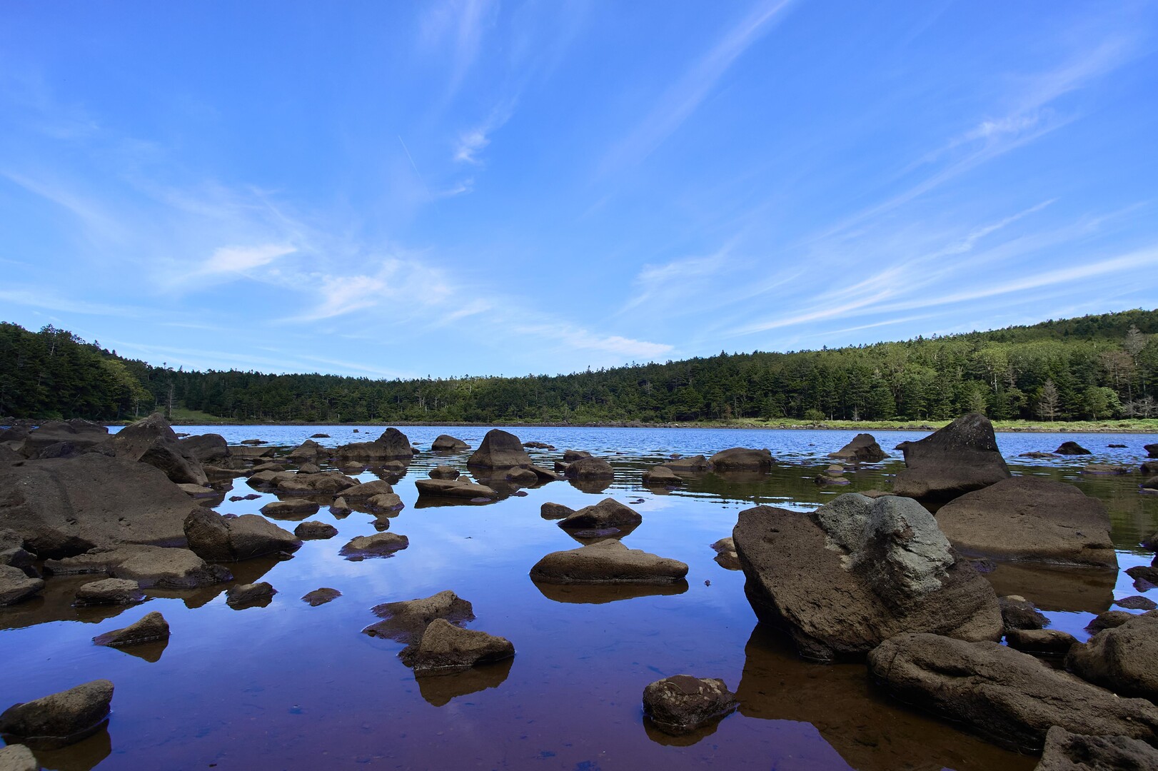 苔と絶景 茶臼山～縞枯山を麦草峠から歩いてみる / estudioさんの蓼科山・横岳・縞枯山の活動データ | YAMAP / ヤマップ