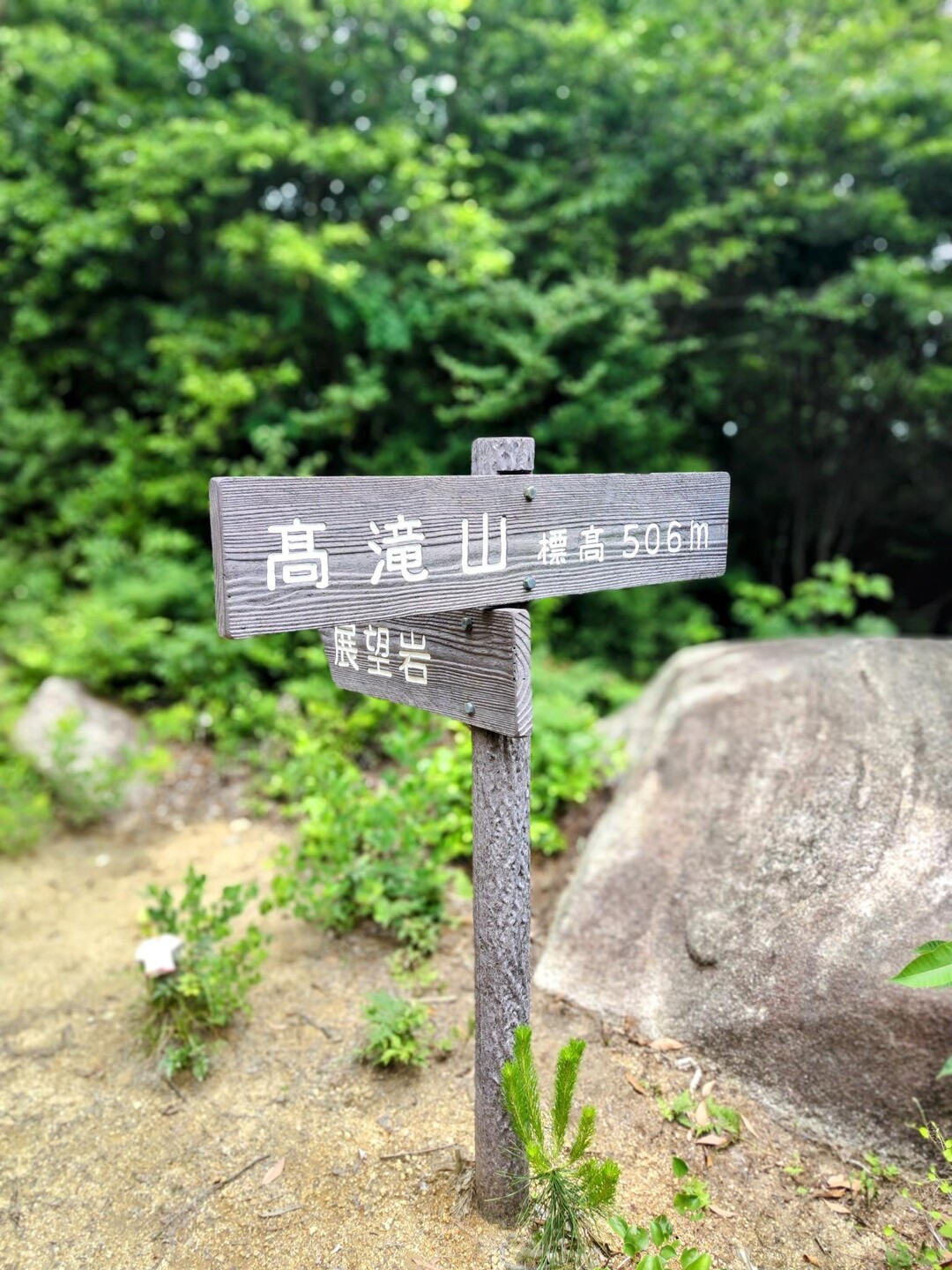 久々に高滝山に-2023-06-18 / nexusさんの高滝山・正木山の活動データ | YAMAP / ヤマップ