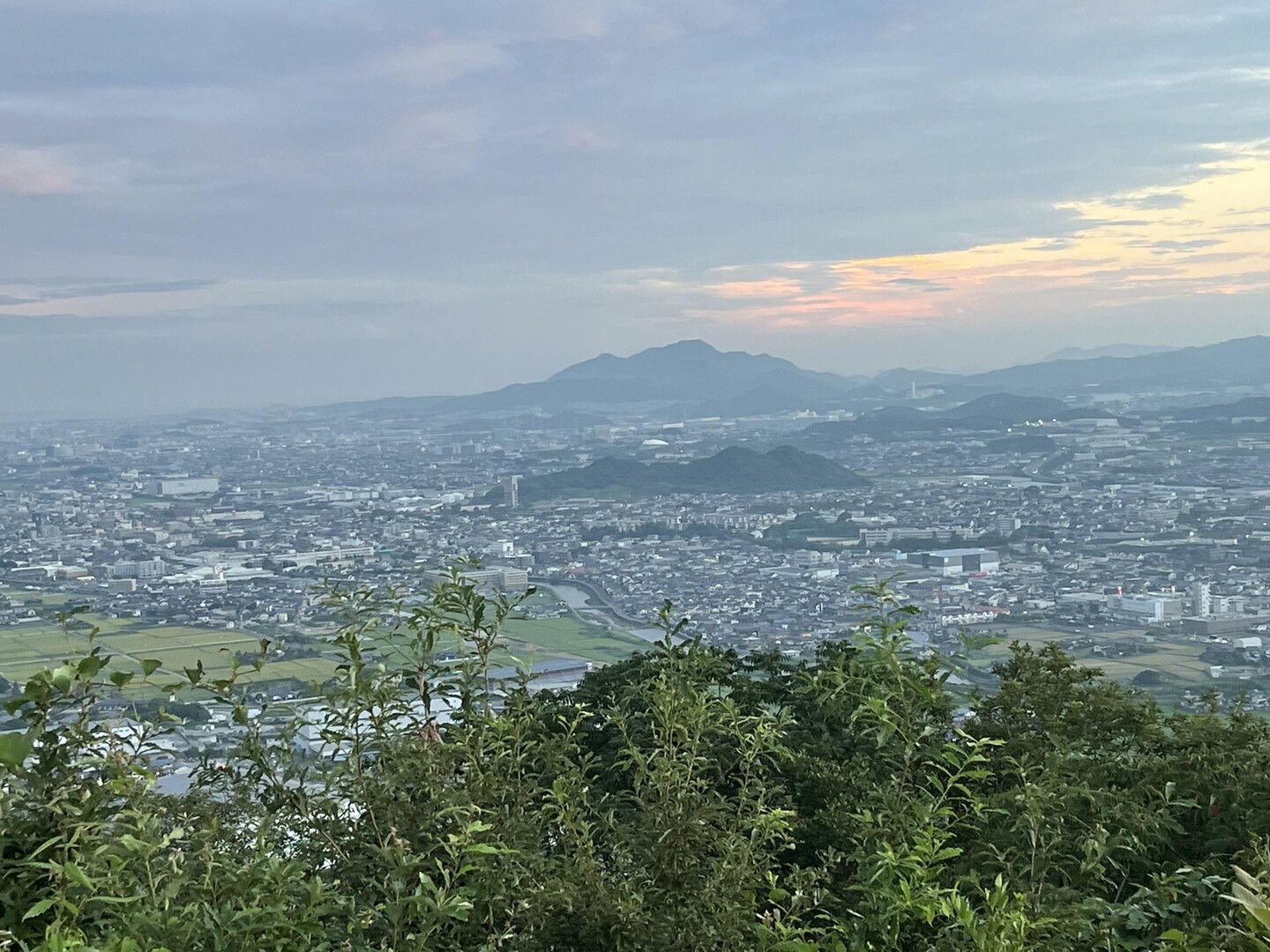 井野山-2023-8-24(76) / kaz@Tak2さんの井野山の活動データ | YAMAP / ヤマップ