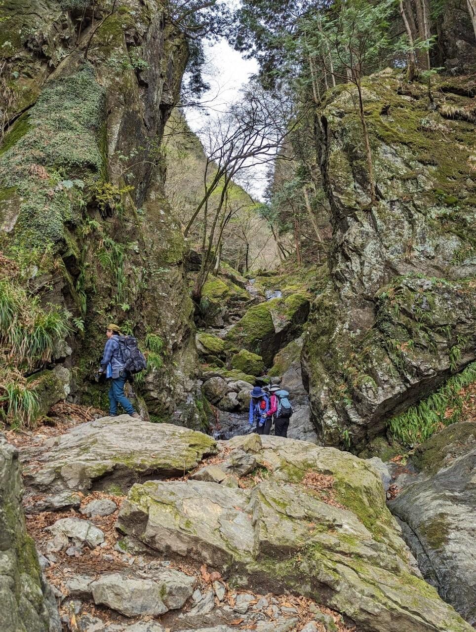 棒ノ嶺（棒ノ折山） / ryryryryさんの棒ノ折山（棒ノ嶺）の活動データ | YAMAP / ヤマップ