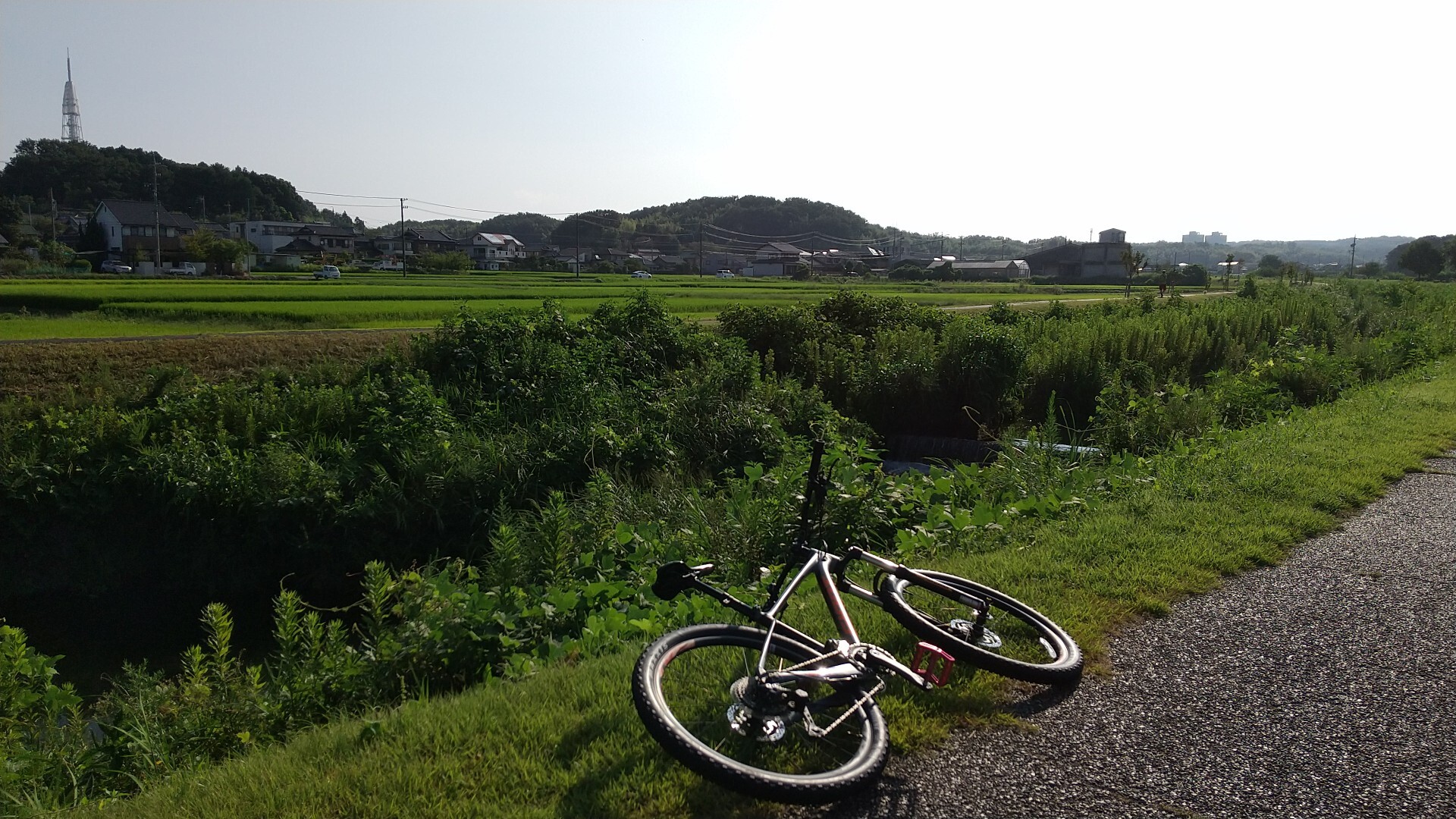 MTB朝ポタリング-2020-08-24 / だーさんさんのランニングの活動データ | YAMAP / ヤマップ