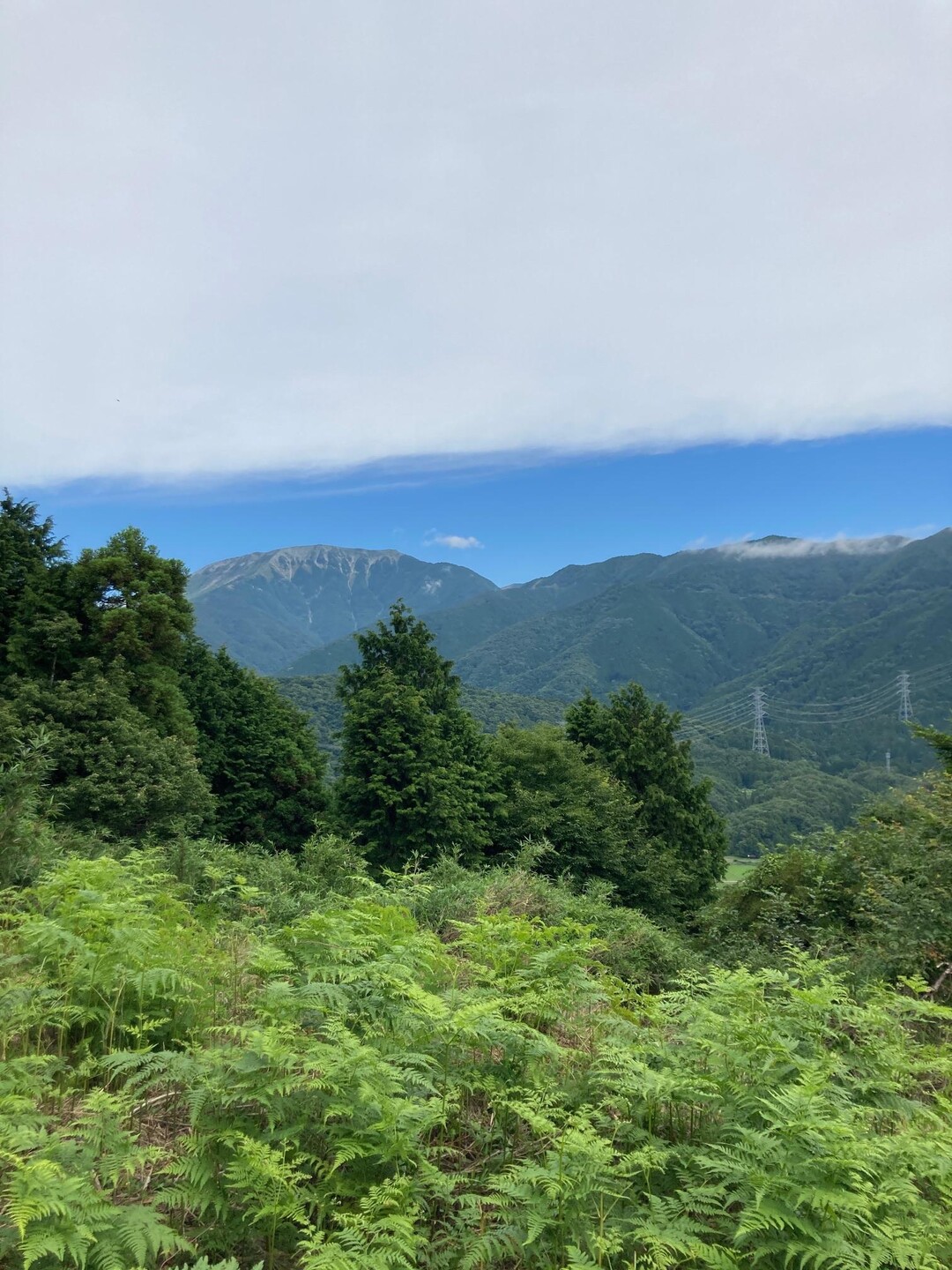 城山 / doalaさんの松尾山・城山の活動データ | YAMAP / ヤマップ