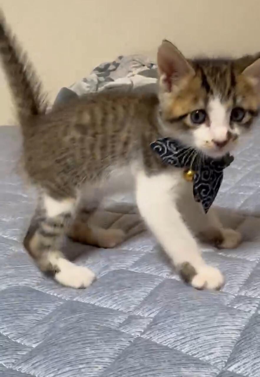 ryu-nosukeのページ | YAMAP / ヤマップ