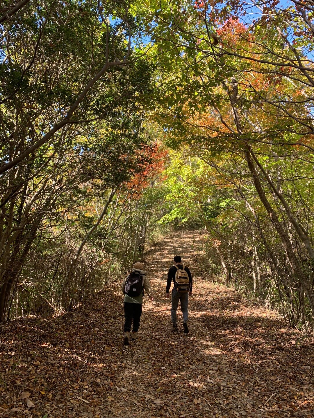 頭崎山 / mirereさんの頭崎山の活動データ | YAMAP / ヤマップ