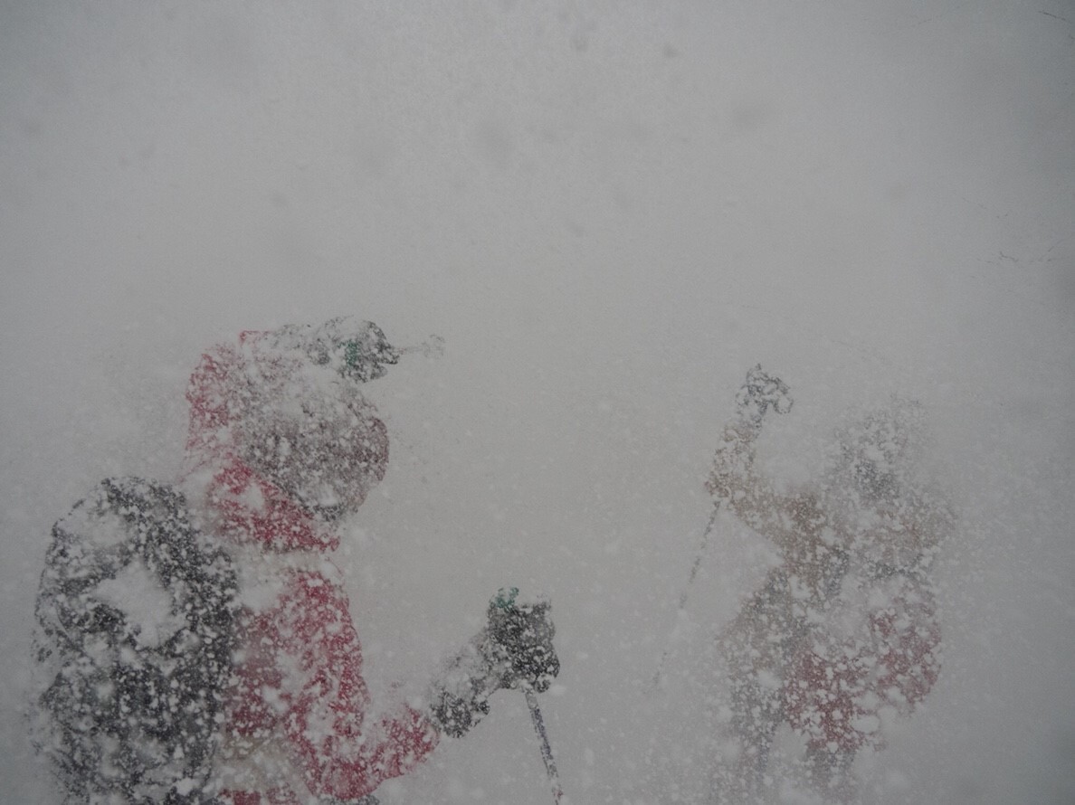 2018.12.19 蛇谷ヶ岳(小栗栖山) 901.7m / 関西女子登山部☆やまびとステーション さんの蛇谷ヶ峰の活動データ | YAMAP / ヤマップ