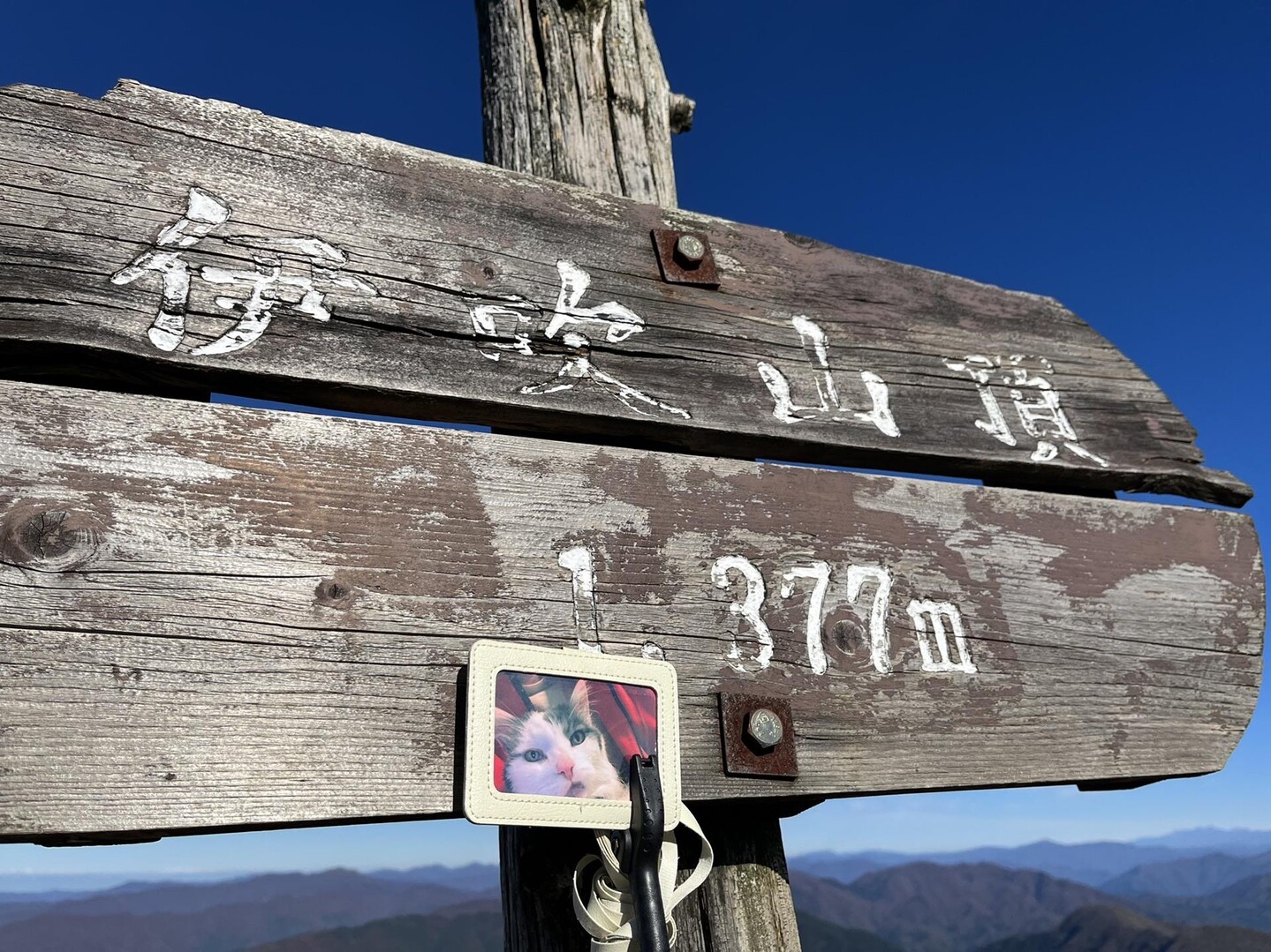 徳蔵山・伊吹山・なっくんと共にR4-44(通算147) / なっくんさんの伊吹山・伊吹高原・御座峰の活動データ | YAMAP / ヤマップ