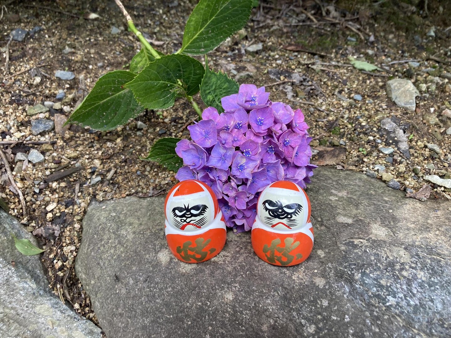 MINOH箕面〜北摂グループ ラン / keloさんの六個山・鉢伏山・明ヶ田尾山・五月山の活動日記 | YAMAP / ヤマップ