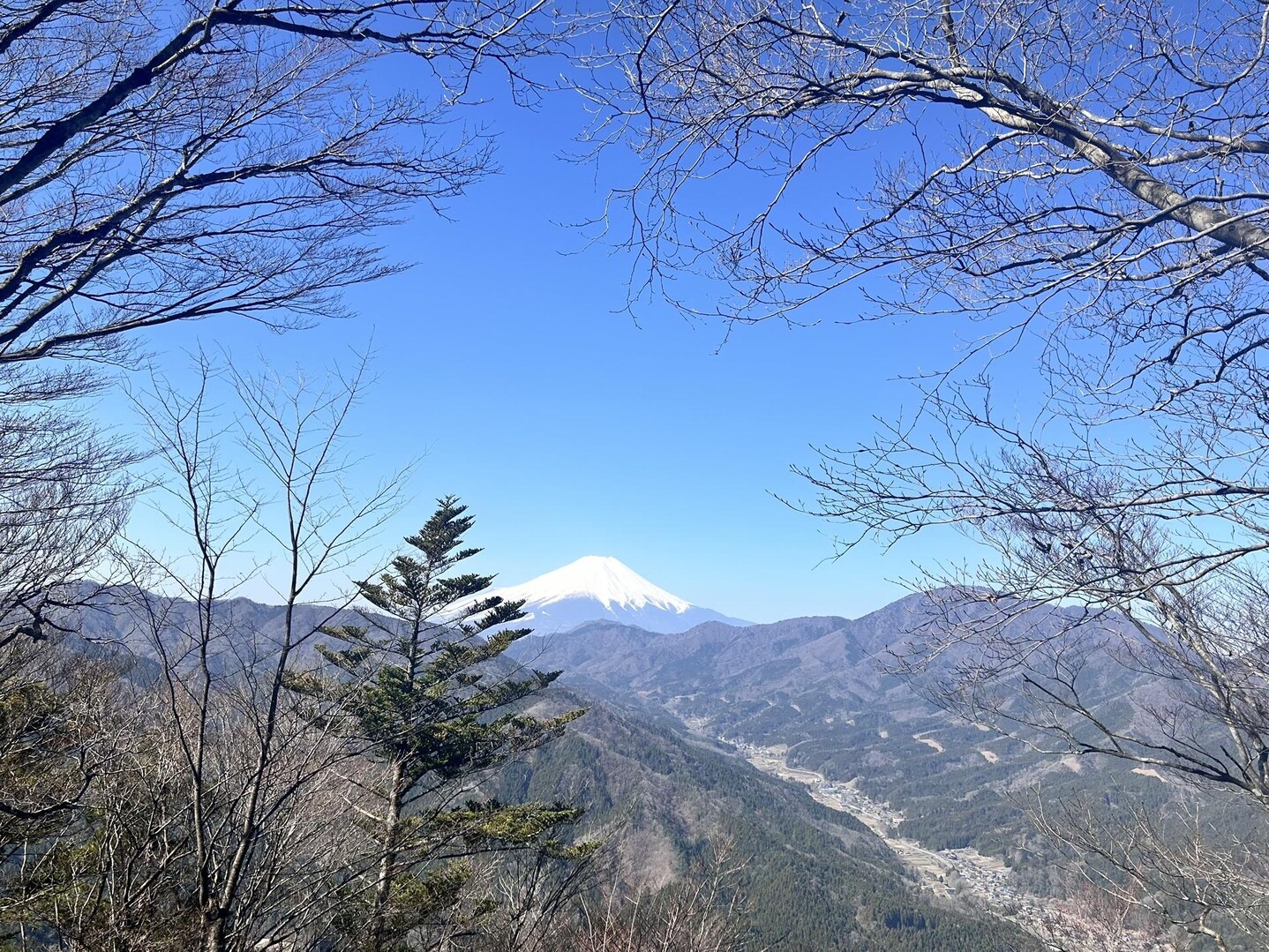 山日和☀️⛰️鳥ノ胸山 / mieeさんの大室山・畦ヶ丸山・菰釣山の活動日記 | YAMAP / ヤマップ