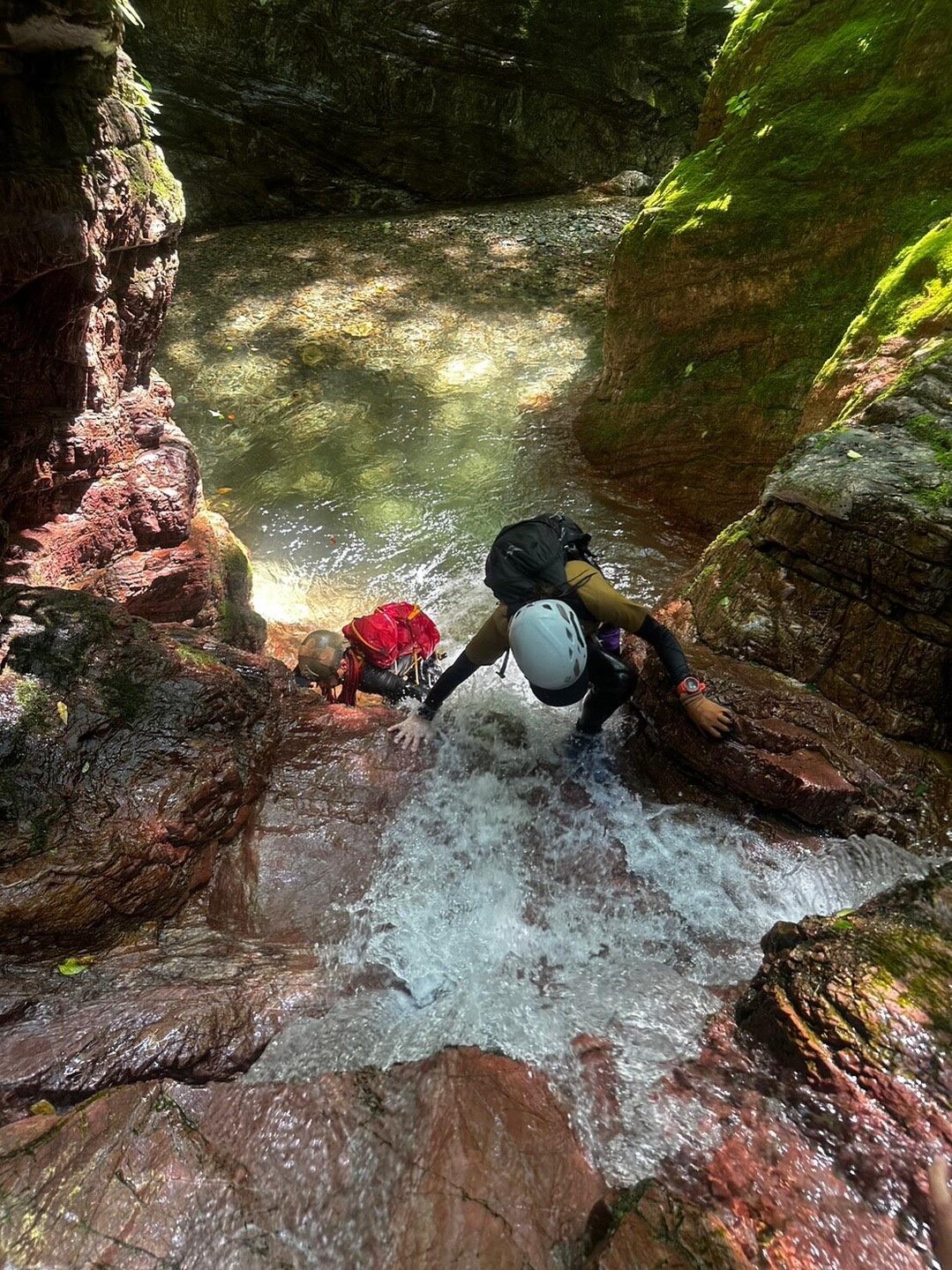 夏到来🌻沢登りデビュー😄橋倉川 / kyo chanさんの諏訪山の活動データ | YAMAP / ヤマップ