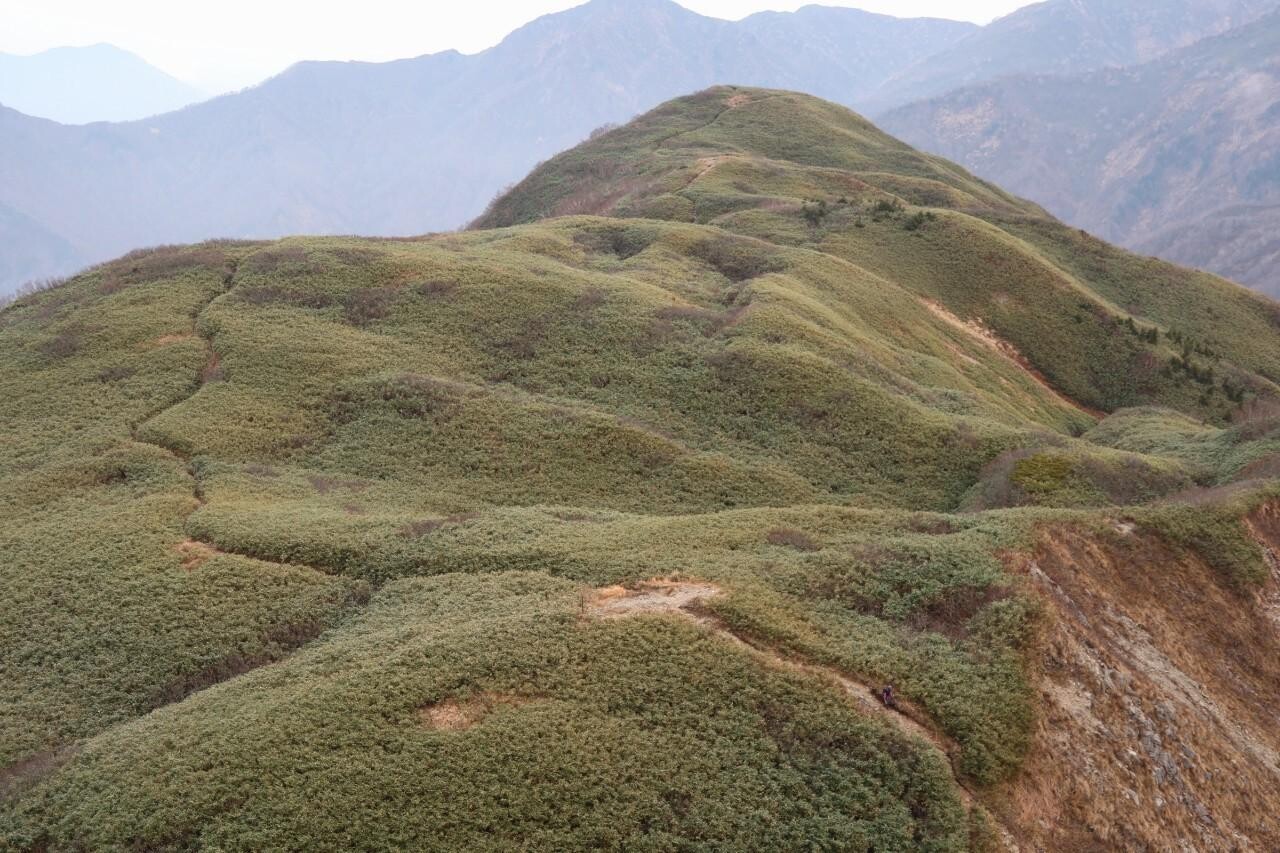 👑雨飾山👑女神の横顔🗽🐻🍑 / 🌈𝓹𝓮𝓪𝓬𝓱🍑さんの雨飾山・大渚山・天狗原山・戸倉山の活動日記 | YAMAP / ヤマップ
