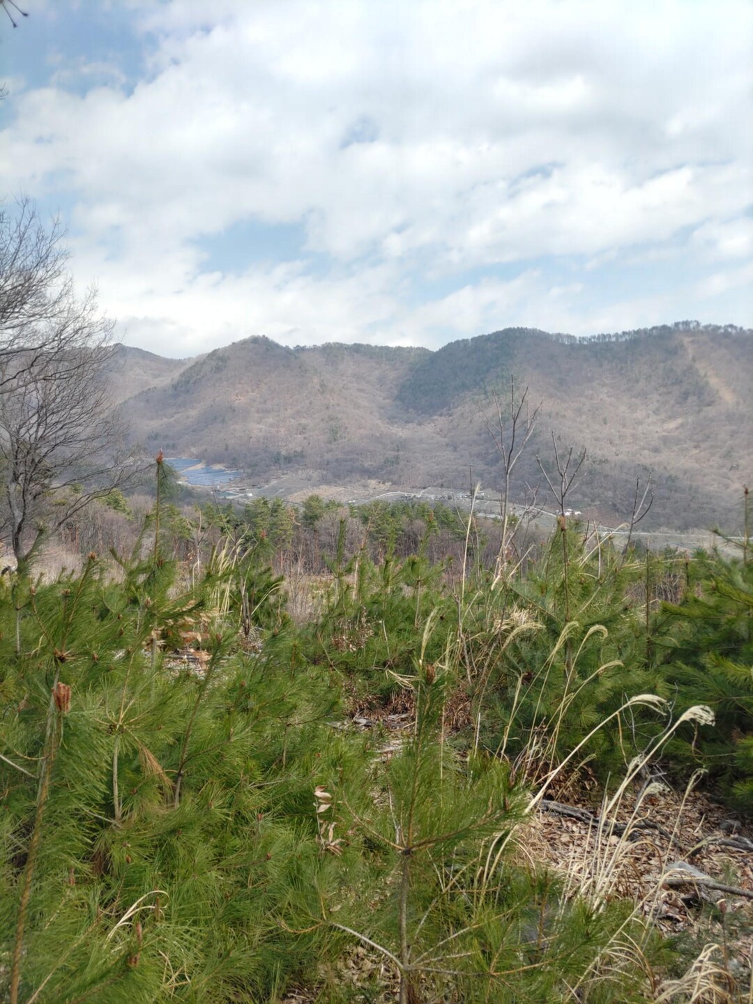 要害山+グレーピーク4 / Rioさんの興因寺山・淡雪山・八王子山の活動データ | YAMAP / ヤマップ