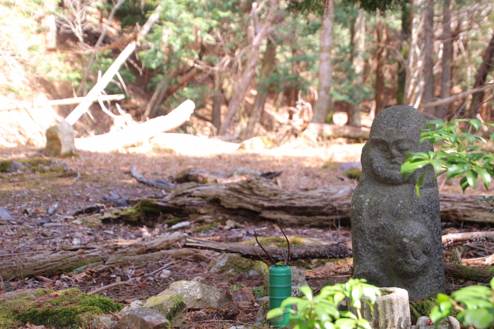 多紀連山(御嶽・小金ヶ嶽) / kazu51さんの御嶽（三嶽）・小金ヶ嶽・西ヶ嶽の活動データ | YAMAP / ヤマップ